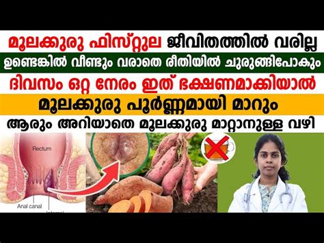 Ottamooli For Piles Moolakkuru Home Treatment Piles