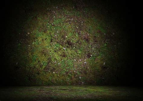 รูปภาพtrass เลือกดูภาพถ่ายสต็อก เวกเตอร์ และวิดีโอ2928 Adobe Stock