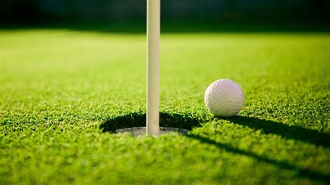 Lawn Grass Guide Identify And Care For Common Types Diy Pest Control