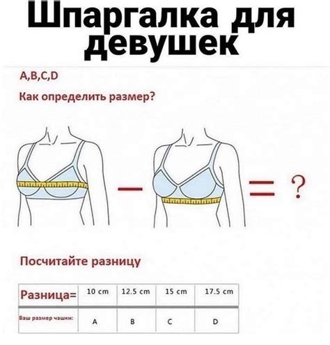 Полезная шпаргалка для девушек как определить размер груди Казалось