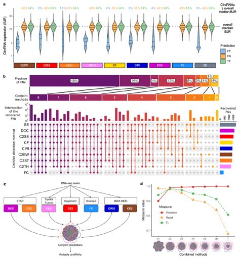 circrnas overlooked by common detection methods and the circompara2
