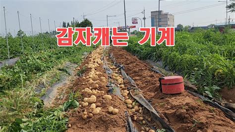 감자캐는기계 Youtube