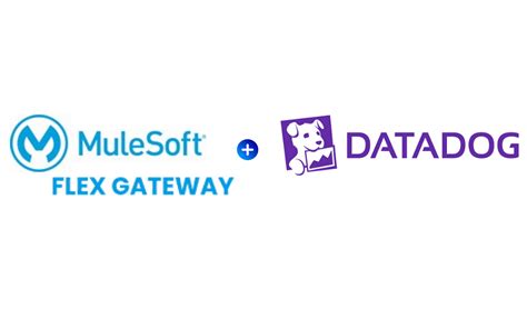 Mulesoft Flex Gateway Log Forwarding To Datadog By Jose Ramon Huerga