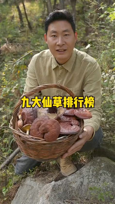 身體喜歡的八種食物，千萬別不知道，尤其第8種中草藥 三農 種植 識百草中藥材 大山百草哥