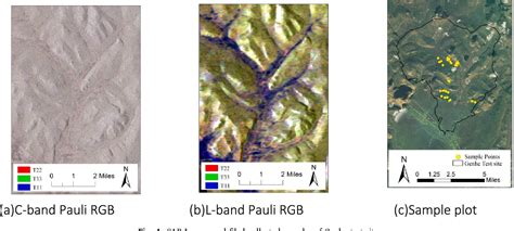 Figure 4 From Forest Total And Component Biomass Retrieval Via Ga Svr