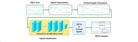 The Proposed Transformer Based HFO Detection Framework Is Designed Download Scientific