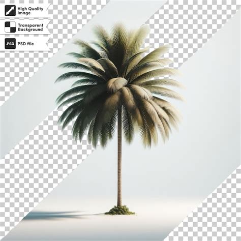 Premium PSD PSD Tree Isolated On Transparent Background