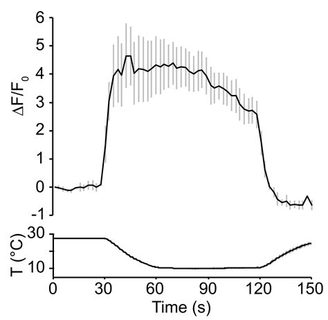 taci an imagej plugin for 3d calcium imaging analysis
