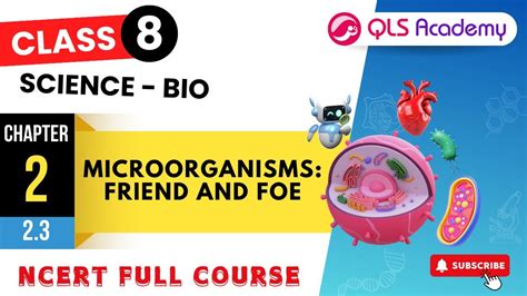 Class 8 Science Chapter 2 Microorganisms Friends Foes Lesson 2 3