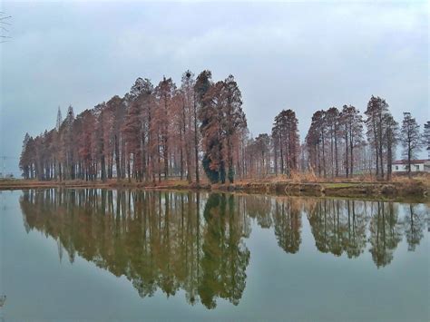 策湖国家湿地公园摄影图片风光摄影 太平洋电脑网摄影部落