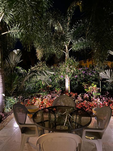 Illuminate Your Landscape Creative Lighting Ideas