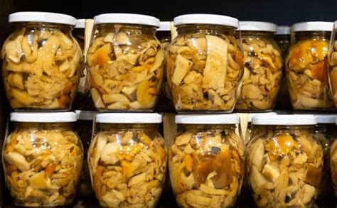 How To Store Mushrooms Long Term Mushroom Site