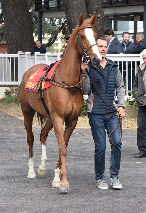 Engun De Bozouls Elevage De Bozouls