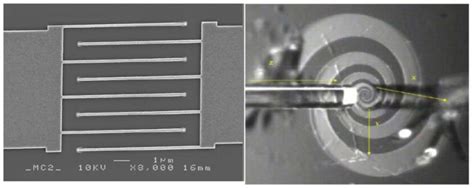 Left Sem Picture For The Active Area Of The Photomixing Element Download Scientific Diagram