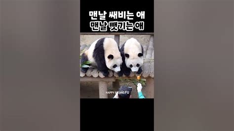 루이는 맨날 뺏고 후이는 맨날 뺏기고ㅋㅋㅋ 후이 왜 뺏기고만 있어 바부팅이야ㅜㅜ🩷 루이 손은 진짜 잽싸다ㅋㅋㅋ 이러는데 왜