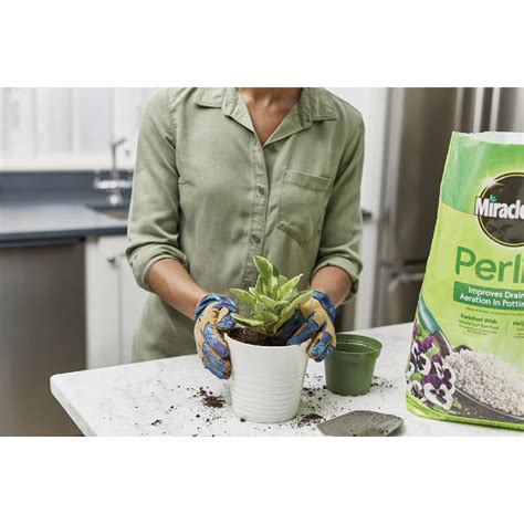 Miracle Gro Perlite Do It Best