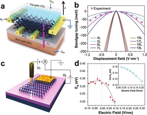 A Schematic Diagram Of Bandgap Tuning With A Dual Gate Bp Transistor Download Scientific