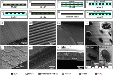 A A H Membrane Fabrication Strategies And I P Corresponding Sem Download Scientific
