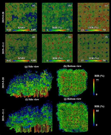 the spatial distribution of simulated rainfall interception ratio rir