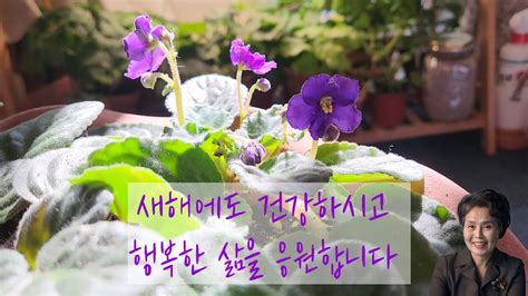 새해에도 행복한 삶을 응원합니다 4박5일 온가족과 함께 I 사진전에 다녀왔어요 Youtube