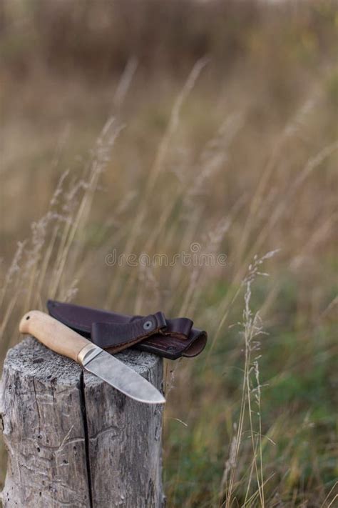 Damascus Steel Knife On Log Stock Image Image Of Knife Rotten 66503721