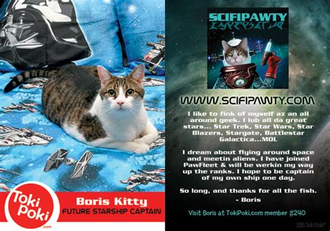Boris Kitty 4 Paws For A Cause Haz Moved To