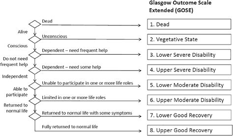 A Manual For The Glasgow Outcome Scale Extended Interview Lindsay