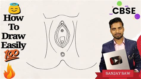 How To Draw Female Genitalia System Step By Step For Beginners YouTube
