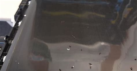 Printer Said Fuser Error Album On Imgur