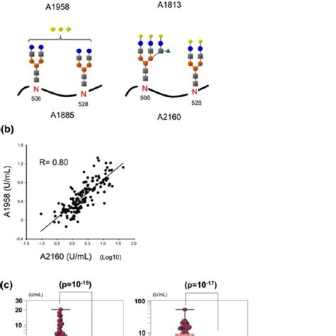 Fully Sialylated C4 Binding Protein Fs C4bp Index And Carbohydrate