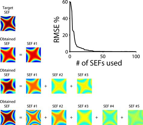 radiofrequency pulse design using nonlinear gradient magnetic fields abstract europe pmc
