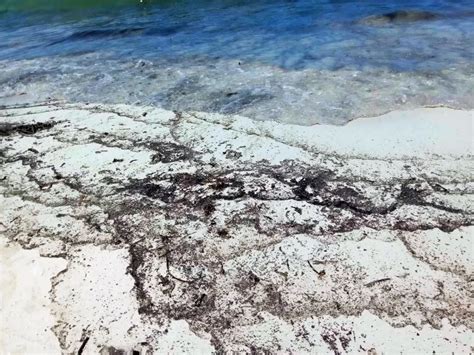Oil Spill Umabot Na Sa Taytay Palawan Metro Sun Daily