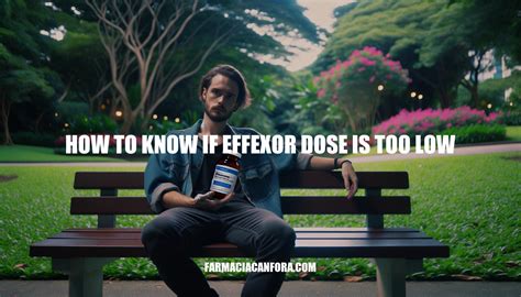 Effexor Dosage Signs You Need A Higher Dose