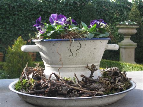 Wonen Met Brocante Vrolijke Violen