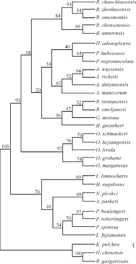 The Best Tree Derived By Ml Analysis Addseqasislnl Unconstrained