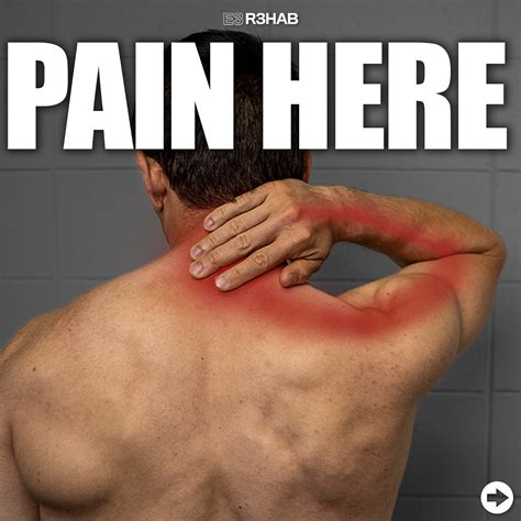 E3rehab The Menisci Plural Are Fibrocartilaginous Structures