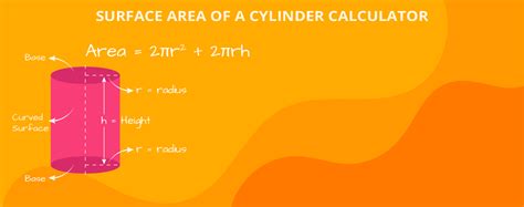 Surface Area Of A Cylinder Worksheet Adriansonfifth