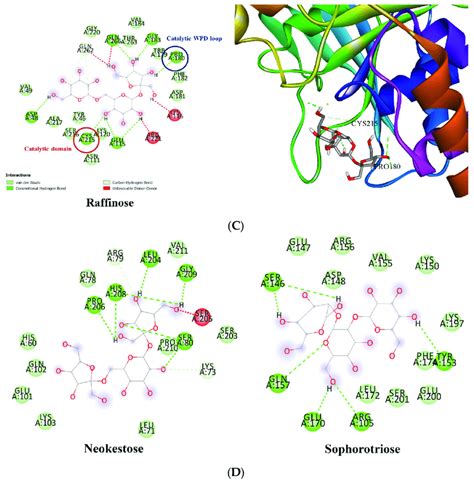 The Crystallographic Structure Of Ptp1b Molecular Docking Related Five Download Scientific