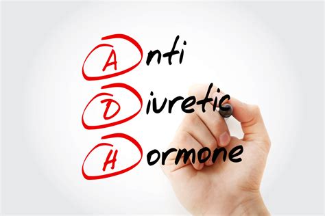 Adh Hormone Explained 7 Vital Facts About Your Bodys Water And Blood