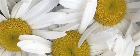 Школа Доброты с ДД ОБЪЕДИНЯЕМСЯ ДЛЯ ОКАЗАНИЯ ПОМОЩИ детишкам которые находятся в детских