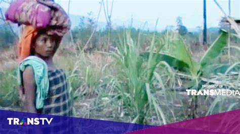 Jelajah Menjumpai Suku Wana Suku Tertua Di Morowali Trans Tv