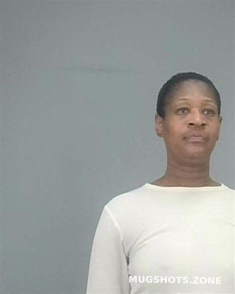 Davis Larhonda Ranette 02012024 Summit County Mugshots Zone