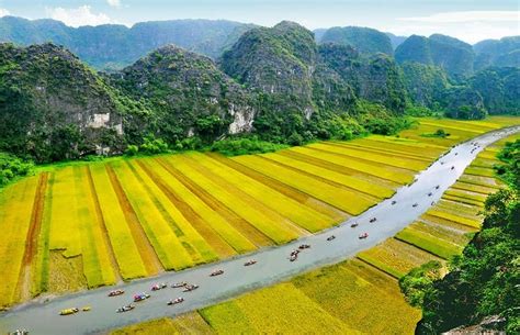 9 Best Places To See Vietnams Rice Terraces And Best Time 2026