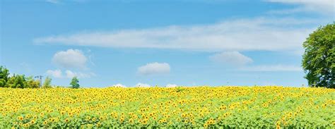 写真素材なら「写真ac」無料（フリー）ダウンロードok