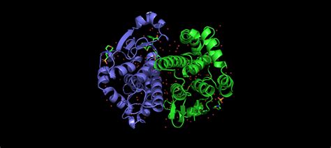 A Pymol [6] Visualization For A Complex Of Interacting Proteins Pdb