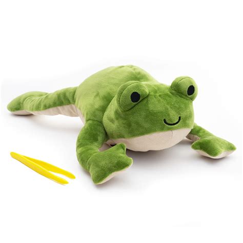 Mua Froggie Lab Dissection Frog Plush Toy Anatomy Learning Toy