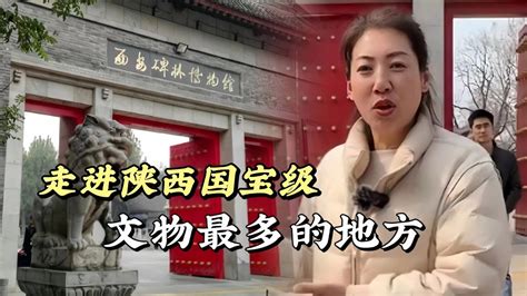西安碑林博物馆坐拥国宝级文物，还有天下第一钟，每年央视春晚的钟声就来自于它！歷史 歷史解說 歷史古蹟 探秘 Youtube