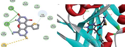 2d And 3d Interaction Diagram Of S2 In The Active Site Of Parp 1 Download Scientific Diagram
