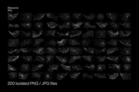200 Free Spider Web Textures [png 4k Resolution]