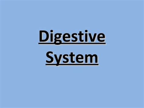 Digestive System Ppt 1 Ppt